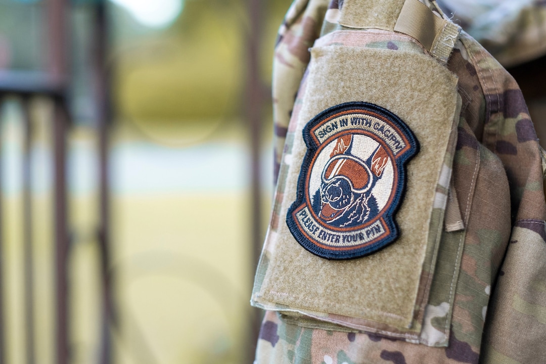 OCP the Goodest Boy Military Email Dog - Spice Brown OCP Stitched Patch ...