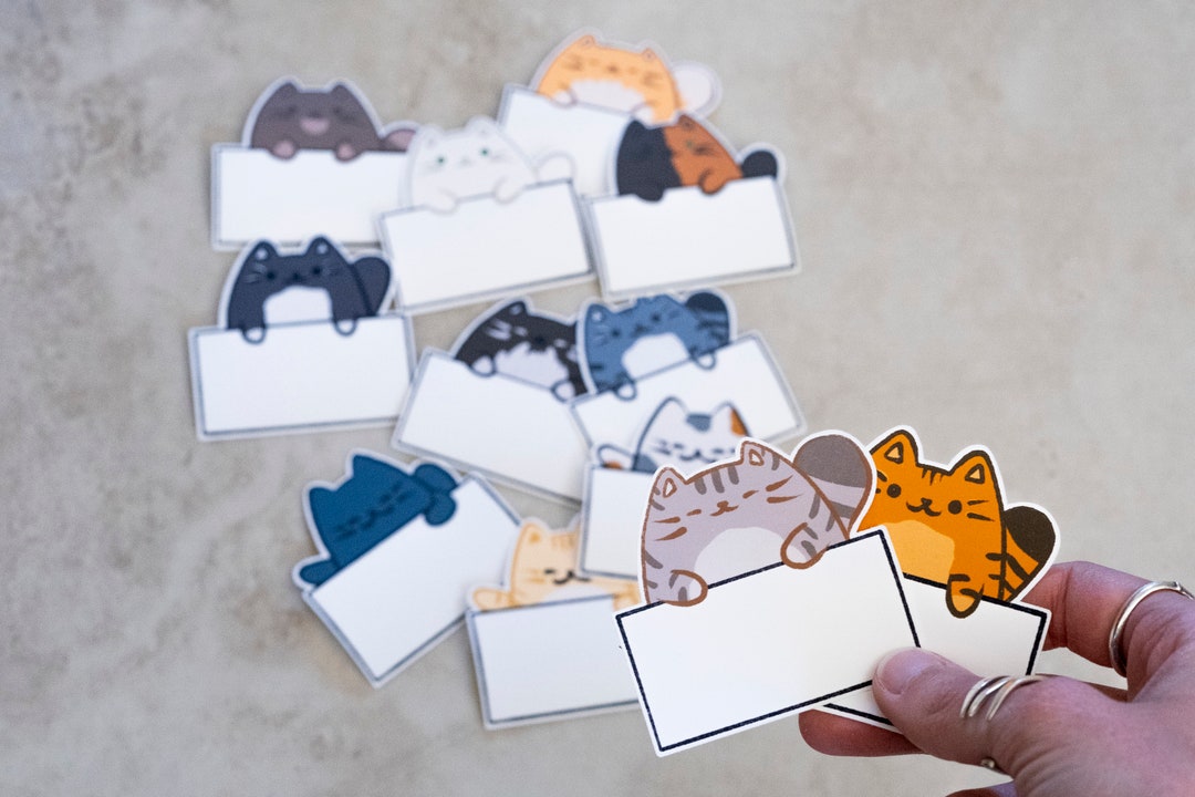 Writable Cat Storage Labels | Set of 12 Matte Pantry Label Stickers - Etsy