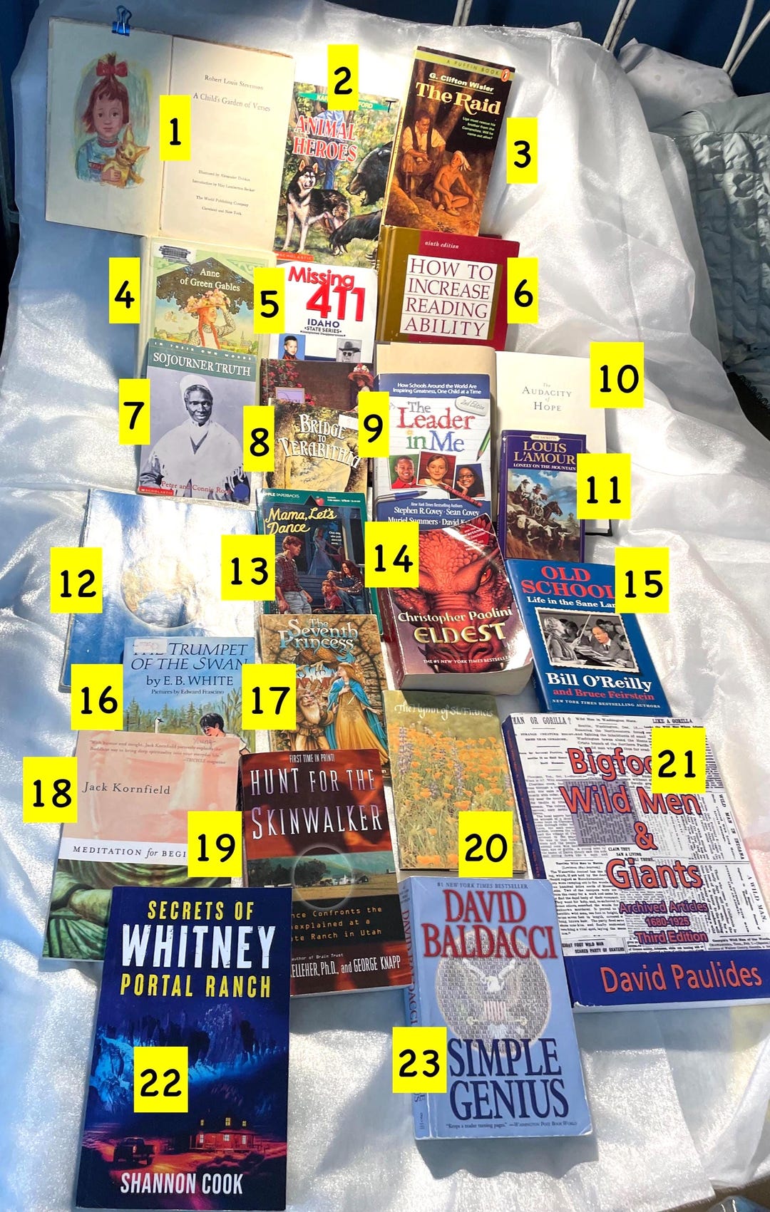 Book Collection From a Retired Reading Teacher - Etsy