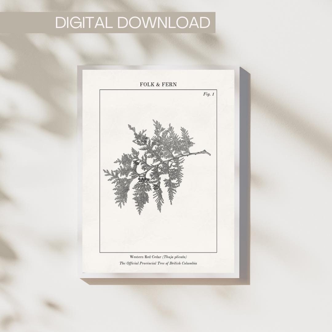 DIGITAL DOWNLOAD British Columbia Provincial Tree Print BC Western Red ...