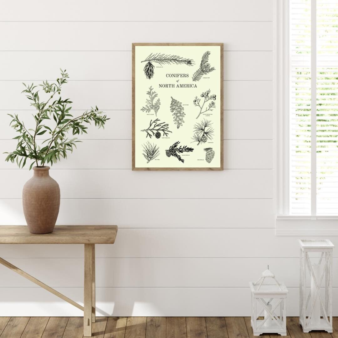 DIGITAL DOWNLOAD Conifers of North America Print Montessori Print ...