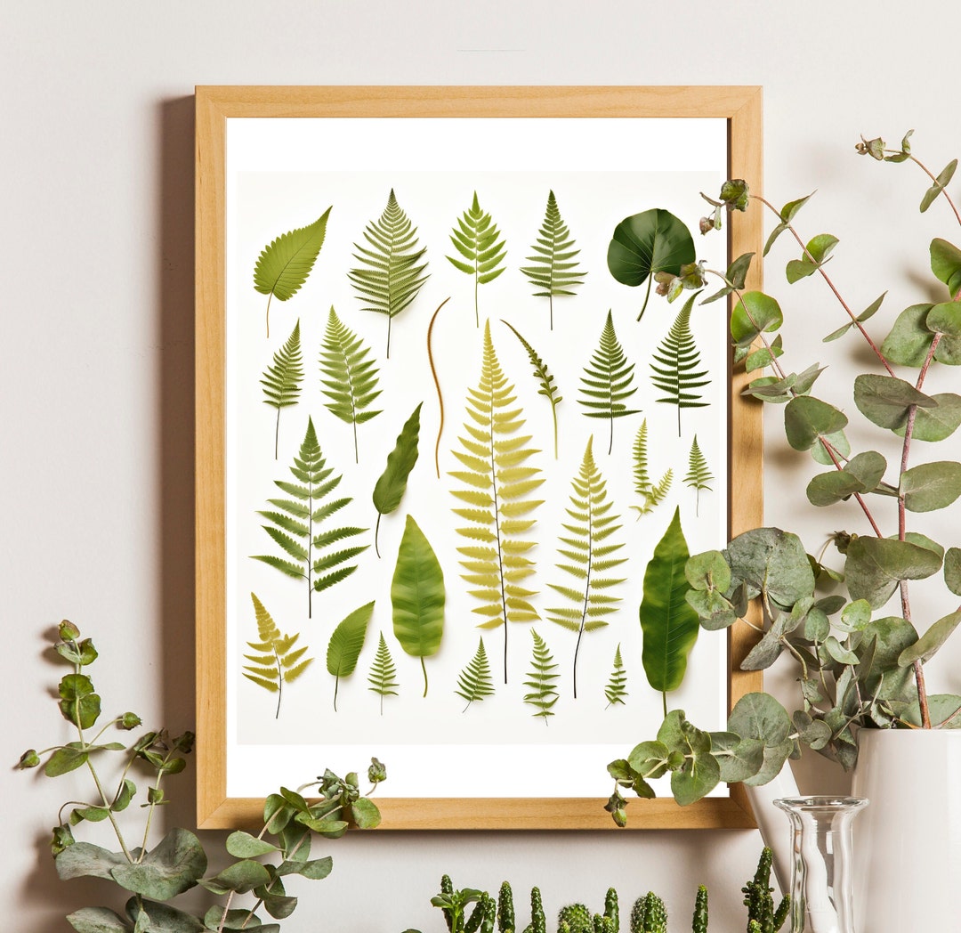Fern Print, PRINTABLE, Fern Species Chart Study Poster, Fern Leaves ...