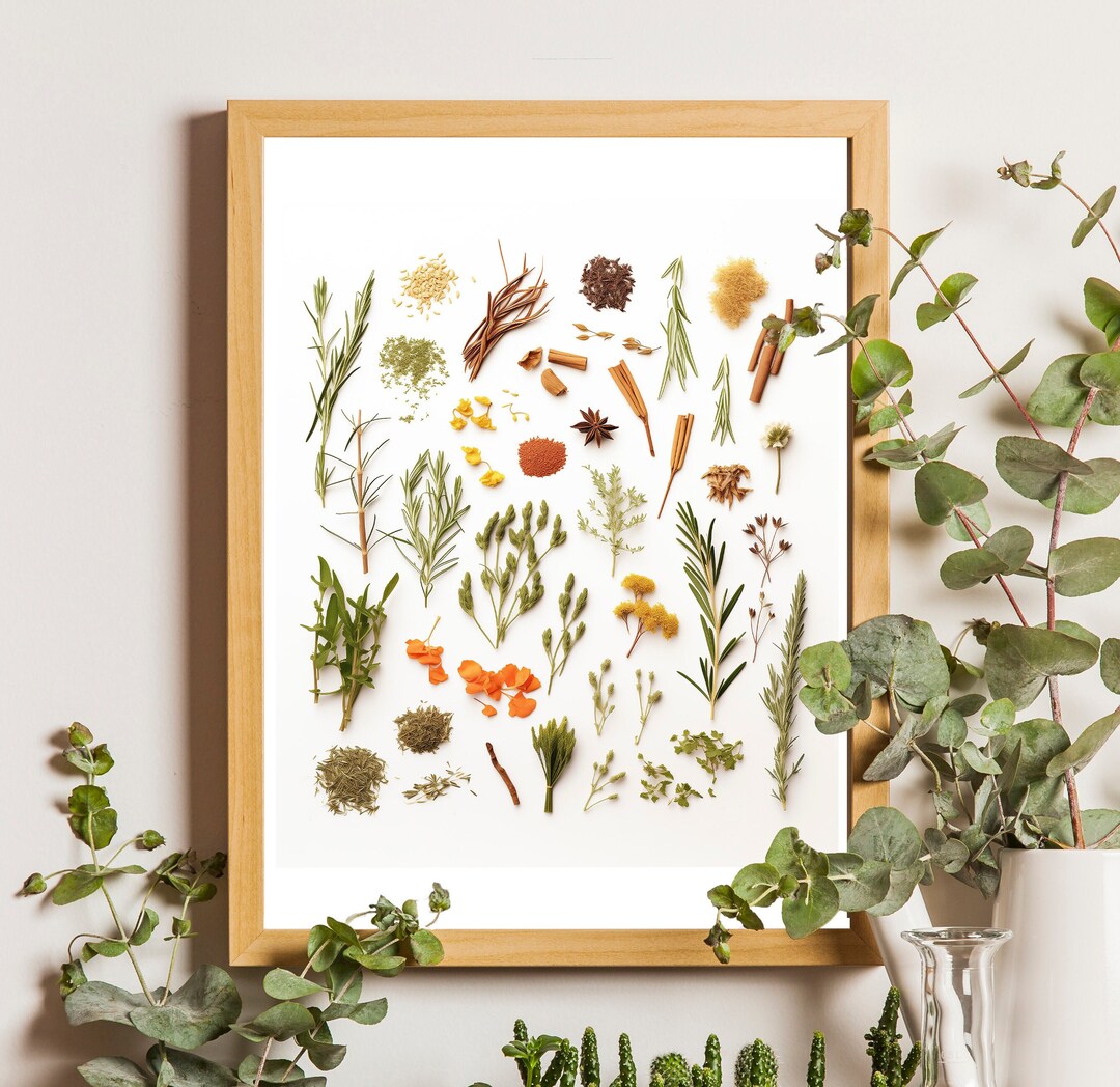 Types of Spices Print, Kitchen Wall Decor, Cooking Spices PRINTABLE ...