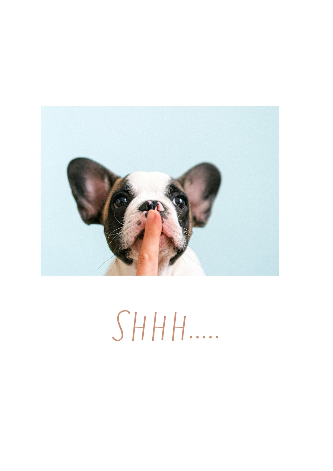 Shhh... Sweet Poster / Dog Poster - Etsy