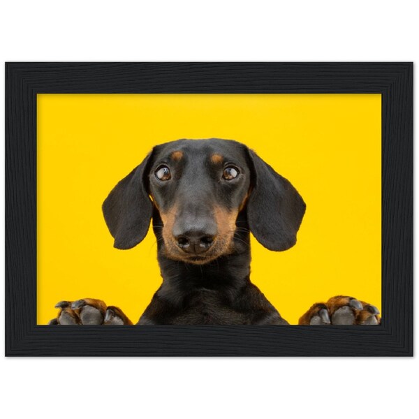 Matte Photo Paper - Etsy