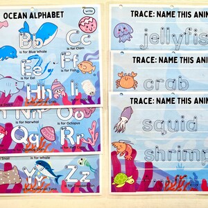 Ocean Busy Book, Marine Animals, Printable Learning Binder, Homeschool ...