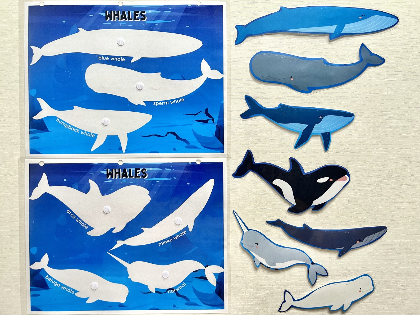 Ocean Busy Book, Marine Animals, Printable Learning Binder, Homeschool ...