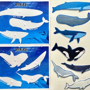 Ocean Busy Book, Marine Animals, Printable Learning Binder, Homeschool ...