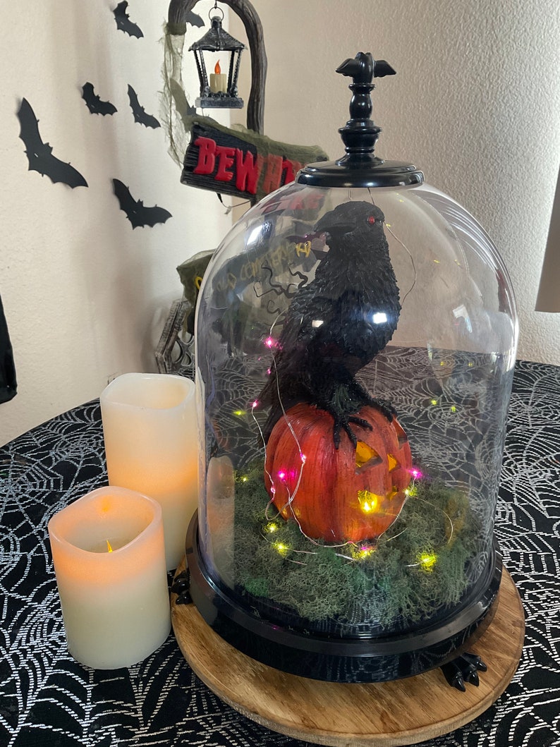 Crow on Jack O Lantern With LED Lights in Cloche - Etsy