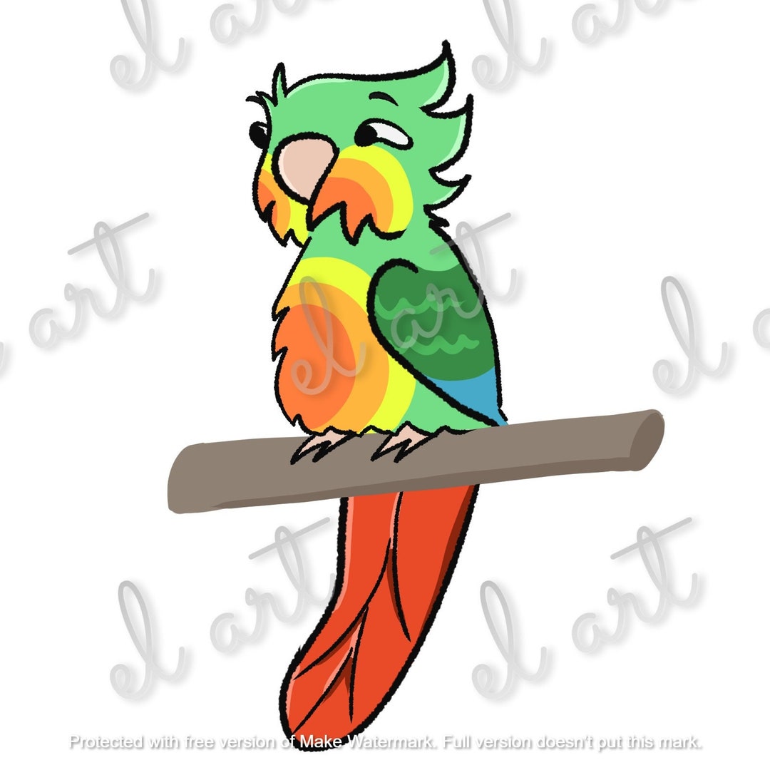 Pineapple Green Cheek Conure - Cartoon Full Portrait - Etsy