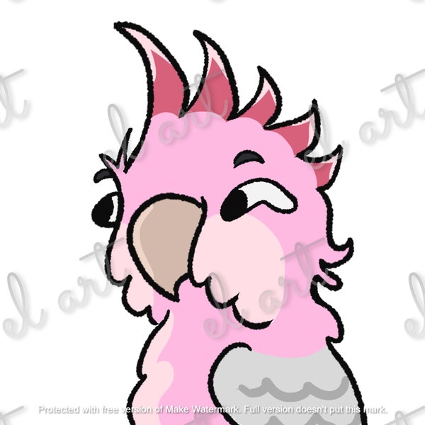 Galah Cartoon - Etsy Australia