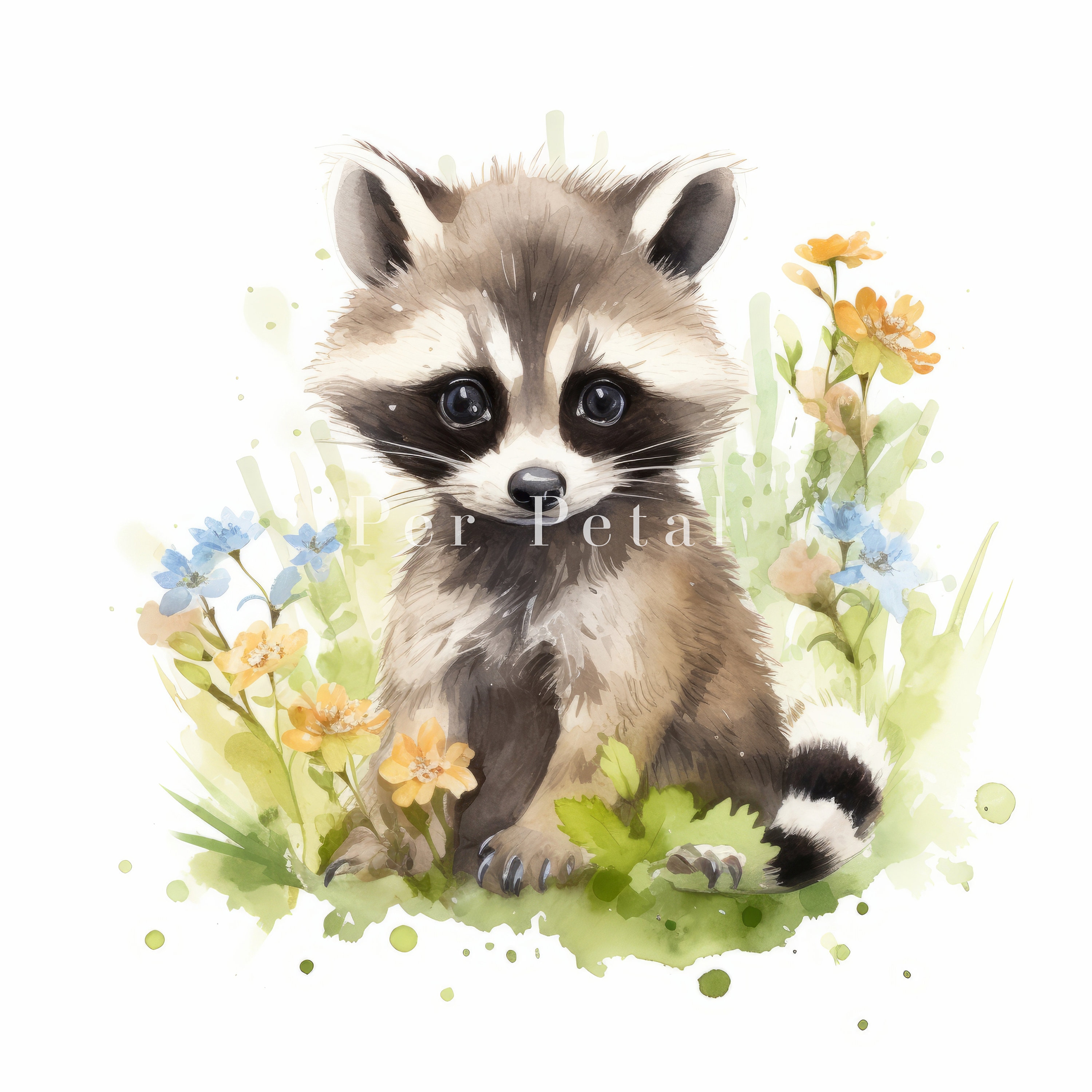 9 Watercolor Baby Raccoon Clipart Watercolor Woodland Cute Animal ...