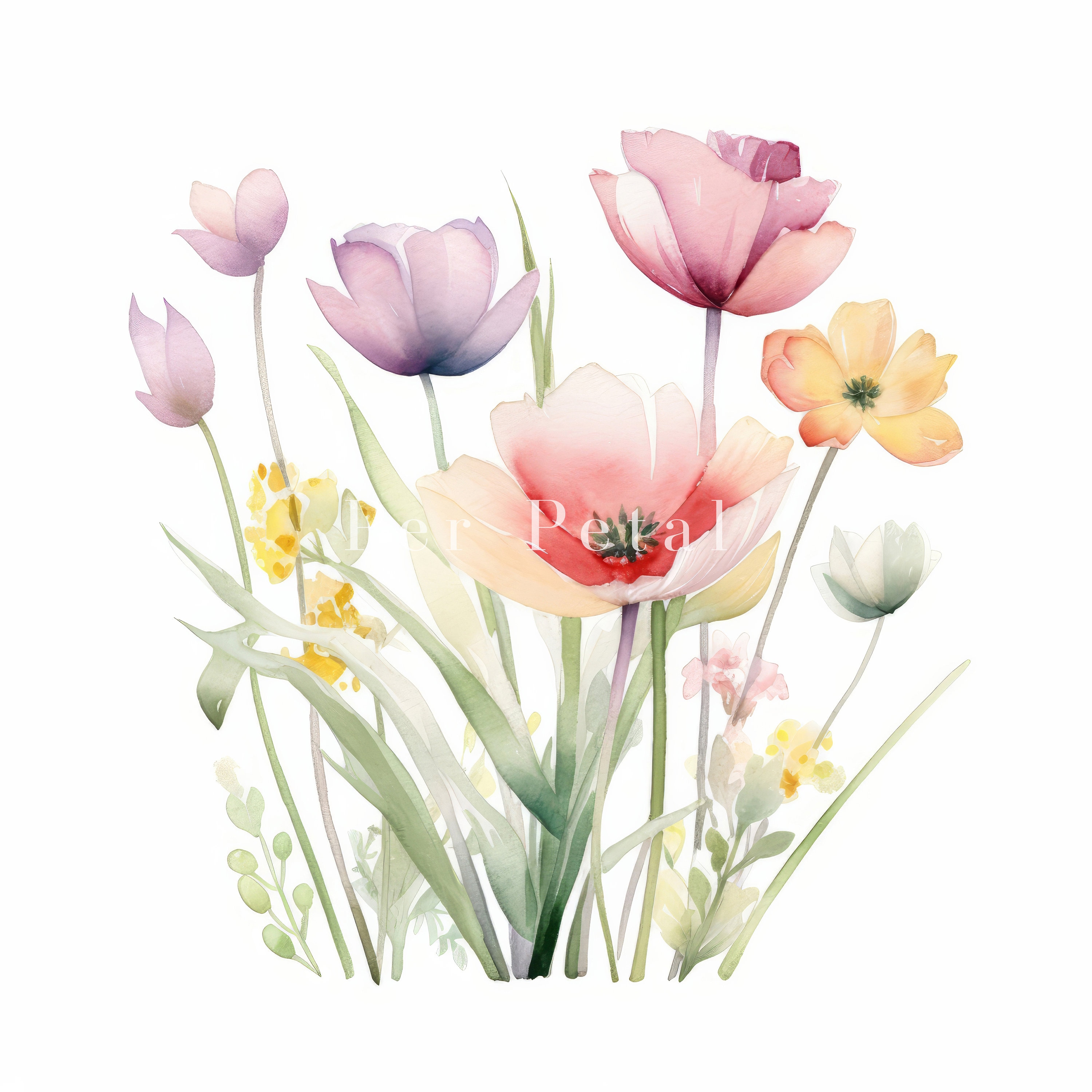 9 Watercolor Spring Flowers Clipart Purple Tulip Clipart Card Making ...