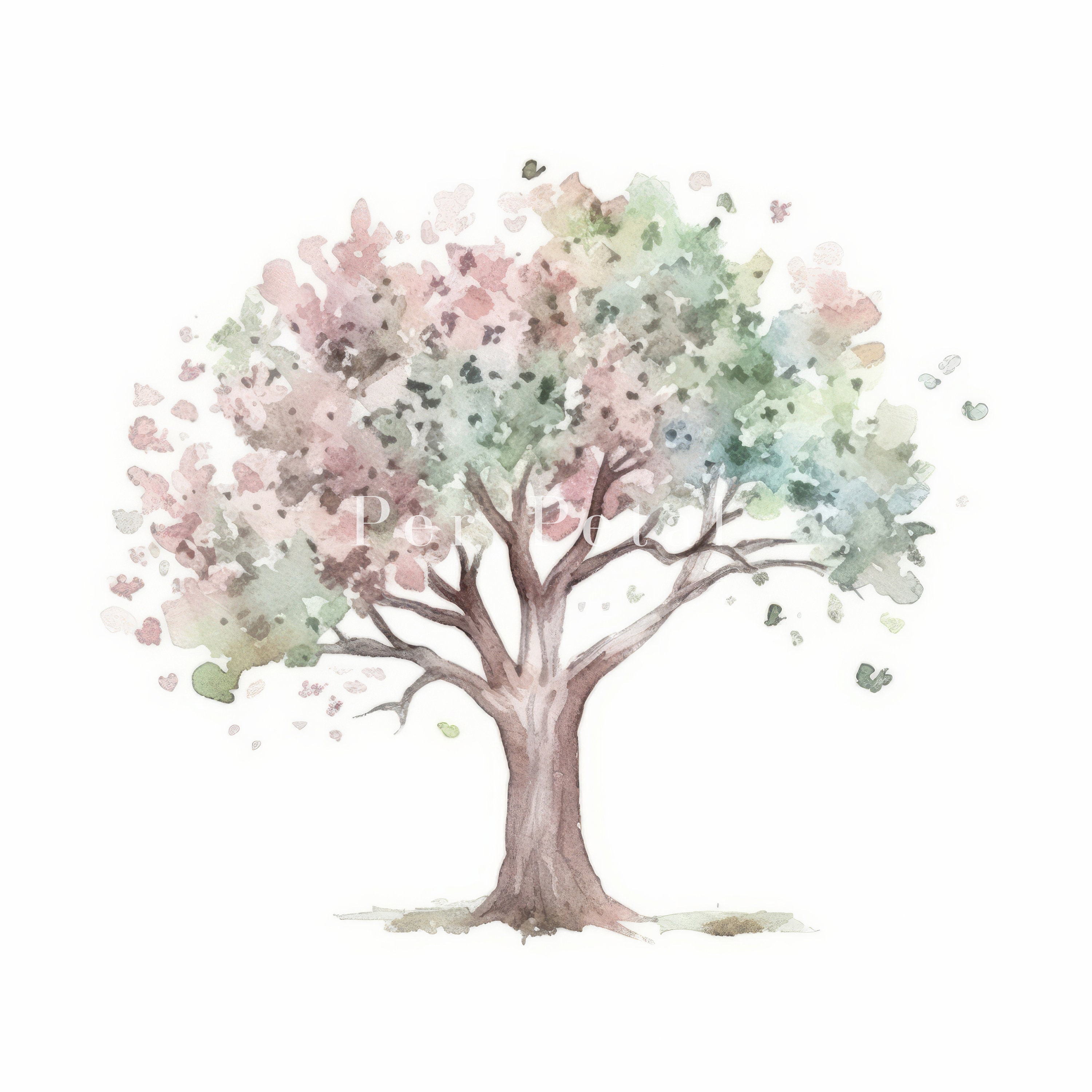 9 Watercolor Spring Trees Clipart Tree Blossoms Clipart Cherry Blossom ...