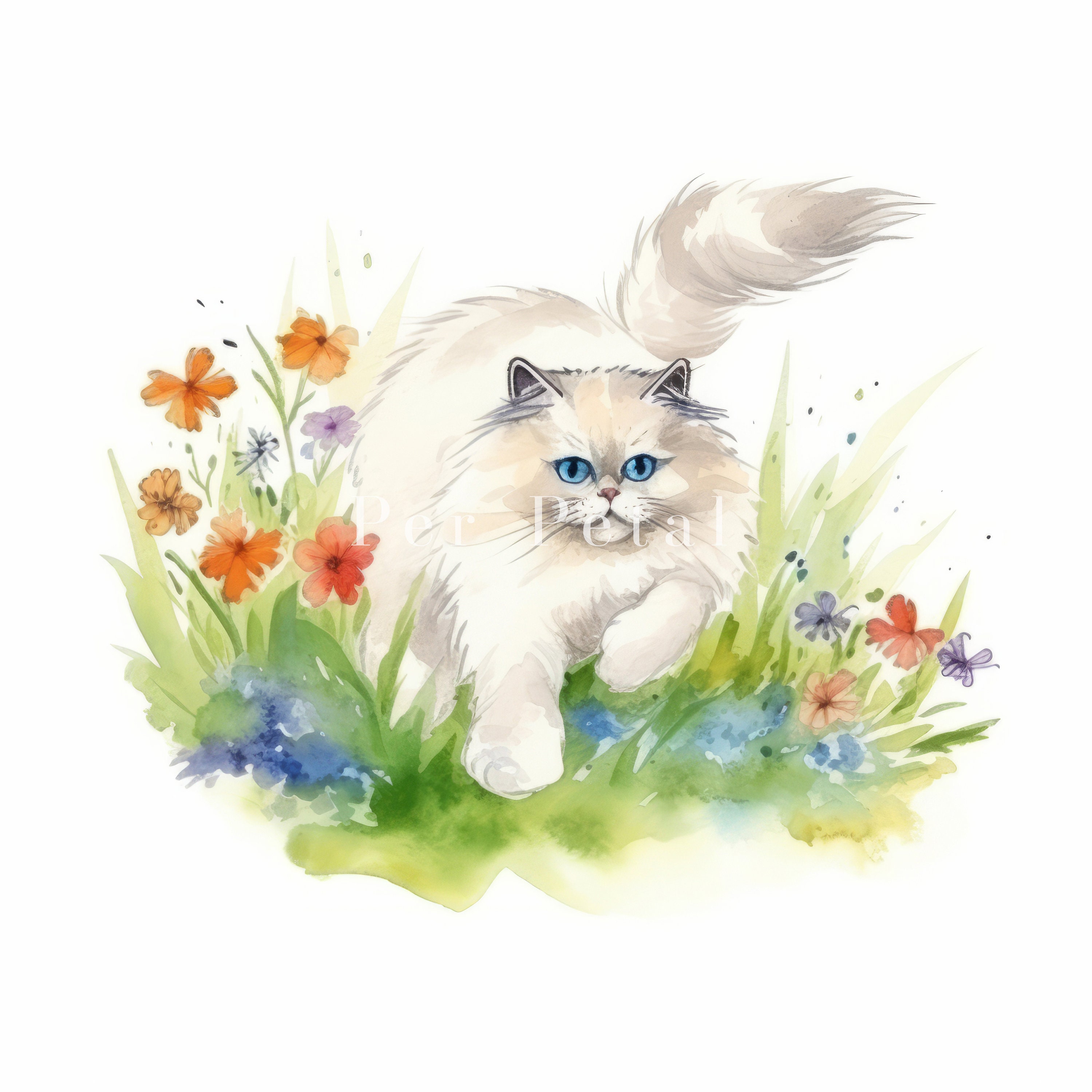 9 Watercolor Persian Kitten Clipart Watercolor Cat Digital - Etsy