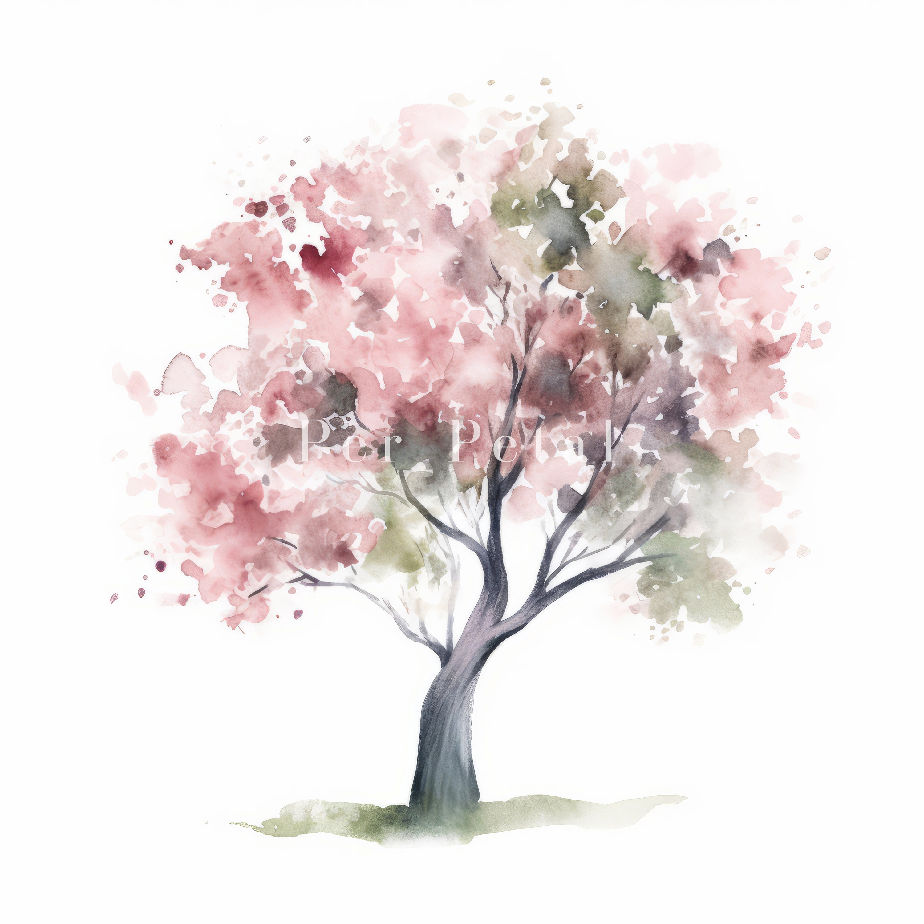 9 Watercolor Spring Trees Clipart Tree Blossoms Clipart Cherry Blossom ...