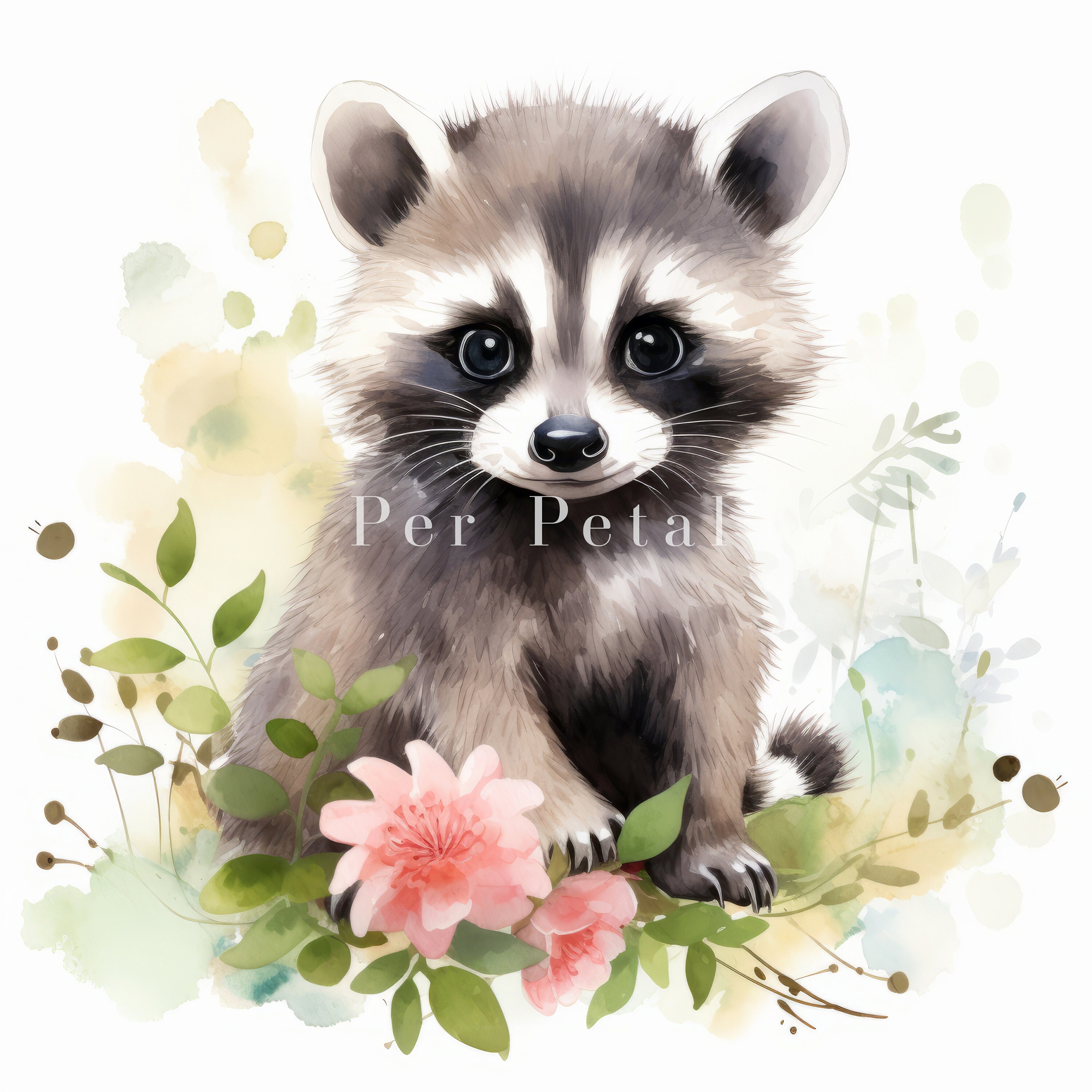 9 Watercolor Baby Raccoon Clipart Watercolor Woodland Cute - Etsy
