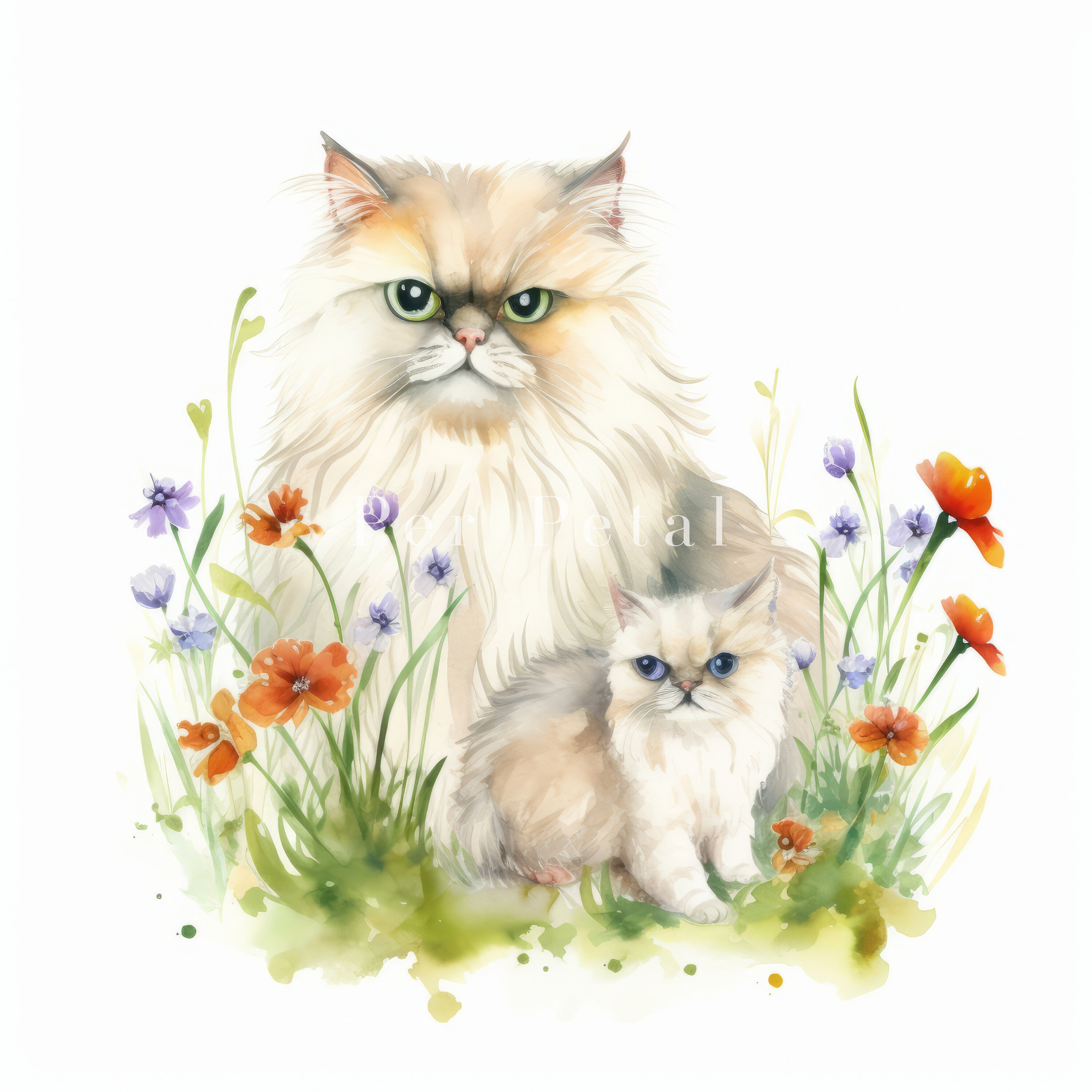 9 Watercolor Persian Kitten Clipart Watercolor Cat Digital - Etsy