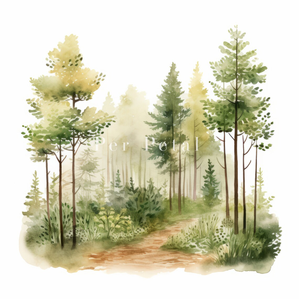 9 Watercolor Green Forest Clipart Woodland Scene Pine Tree Clipart Jpgs ...