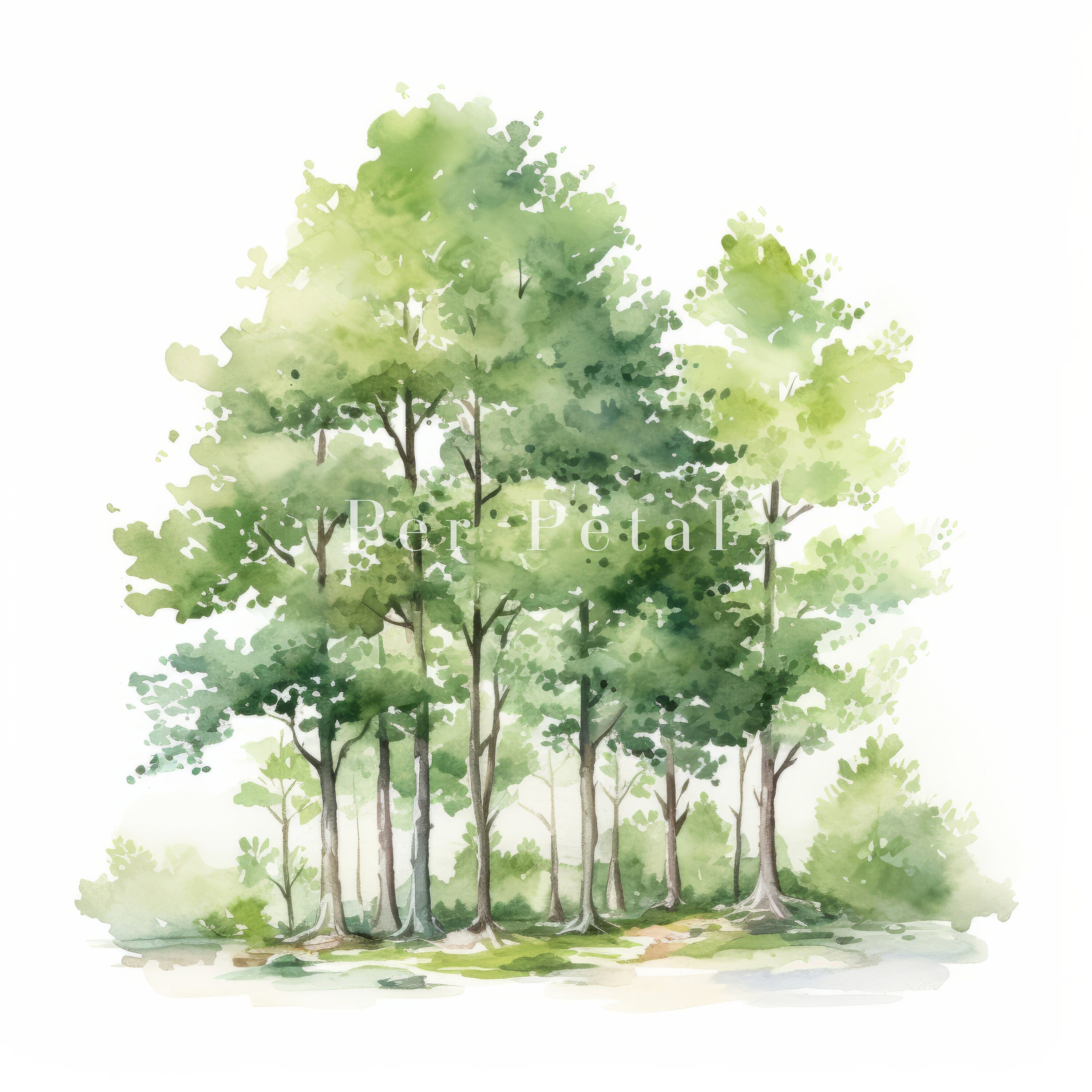 9 Watercolor Green Forest Clipart Woodland Scene Pine Tree Clipart Jpgs ...
