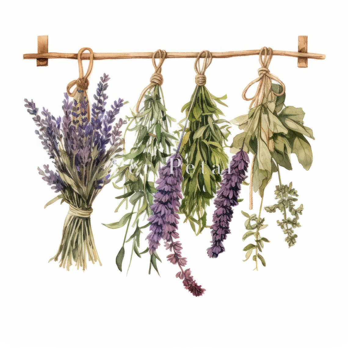 9 Watercolor Herbs Clipart Hanging Herbs Clipart Card Making Mixed ...