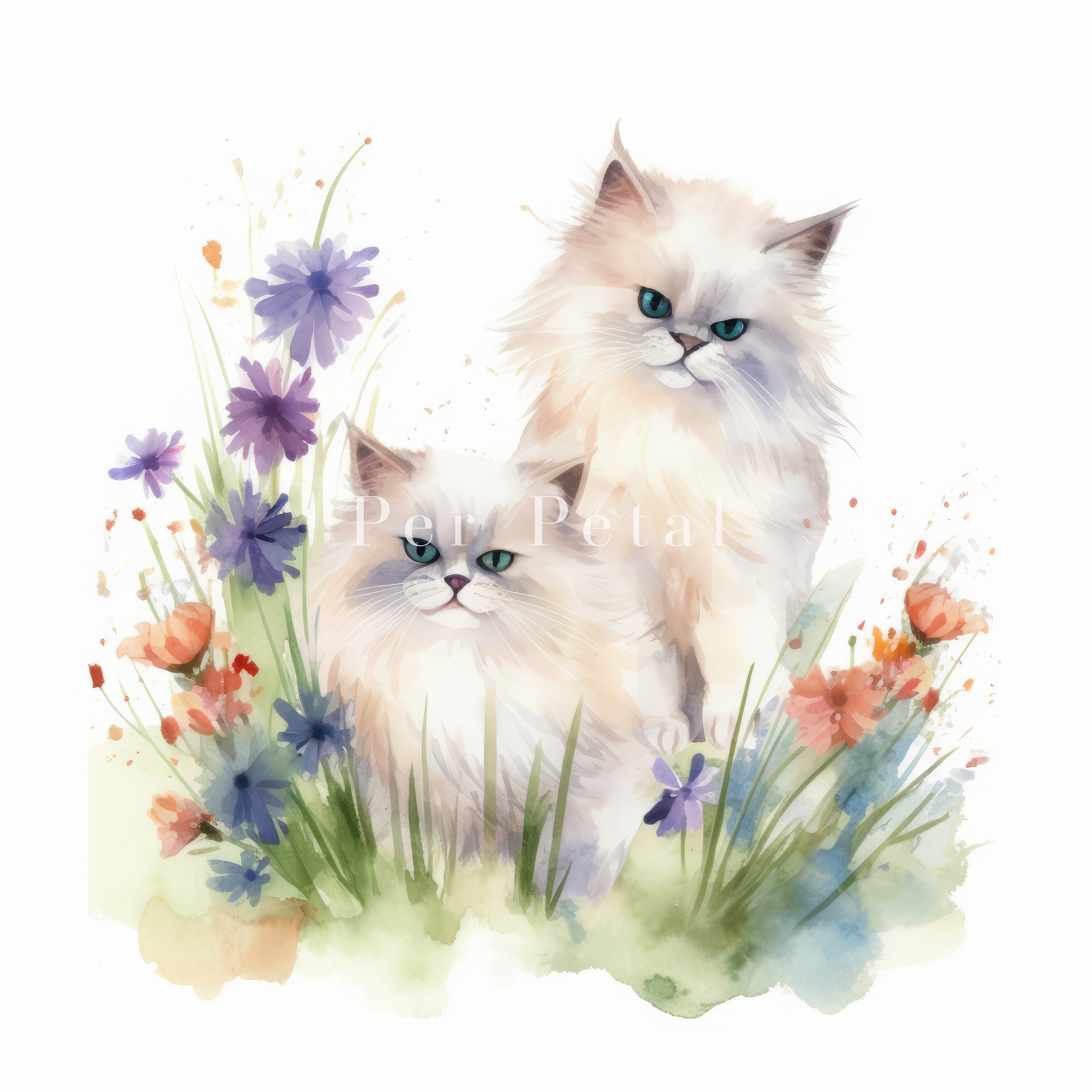 9 Watercolor Persian Kitten Clipart Watercolor Cat Digital - Etsy