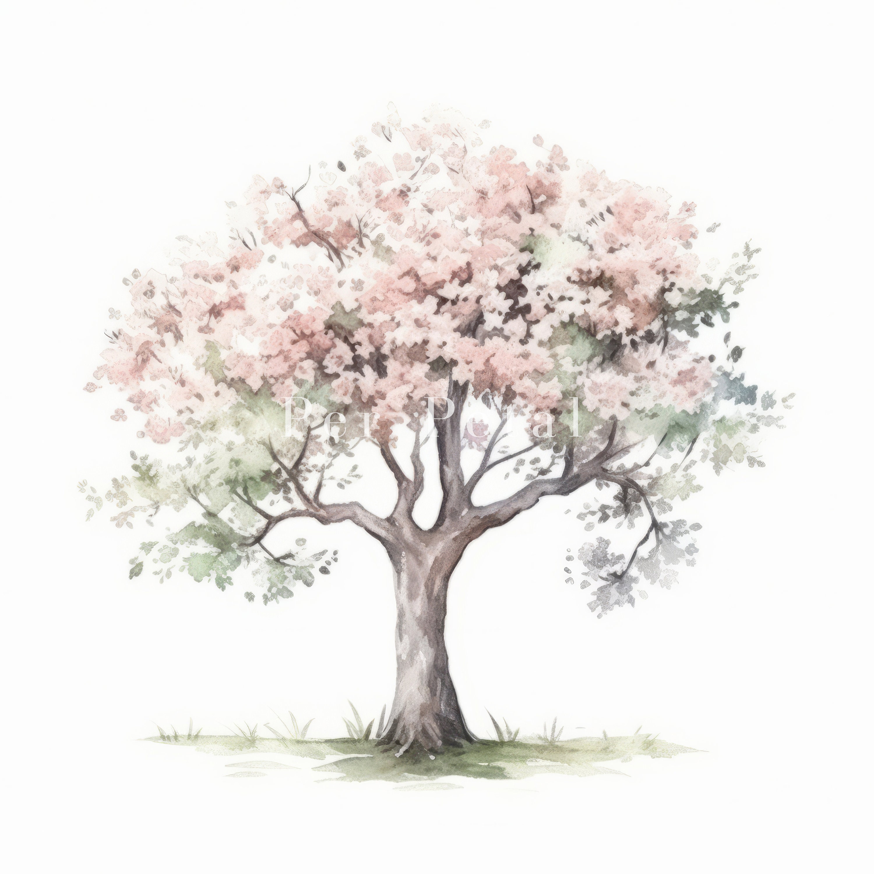 9 Watercolor Spring Trees Clipart Tree Blossoms Clipart Cherry Blossom ...