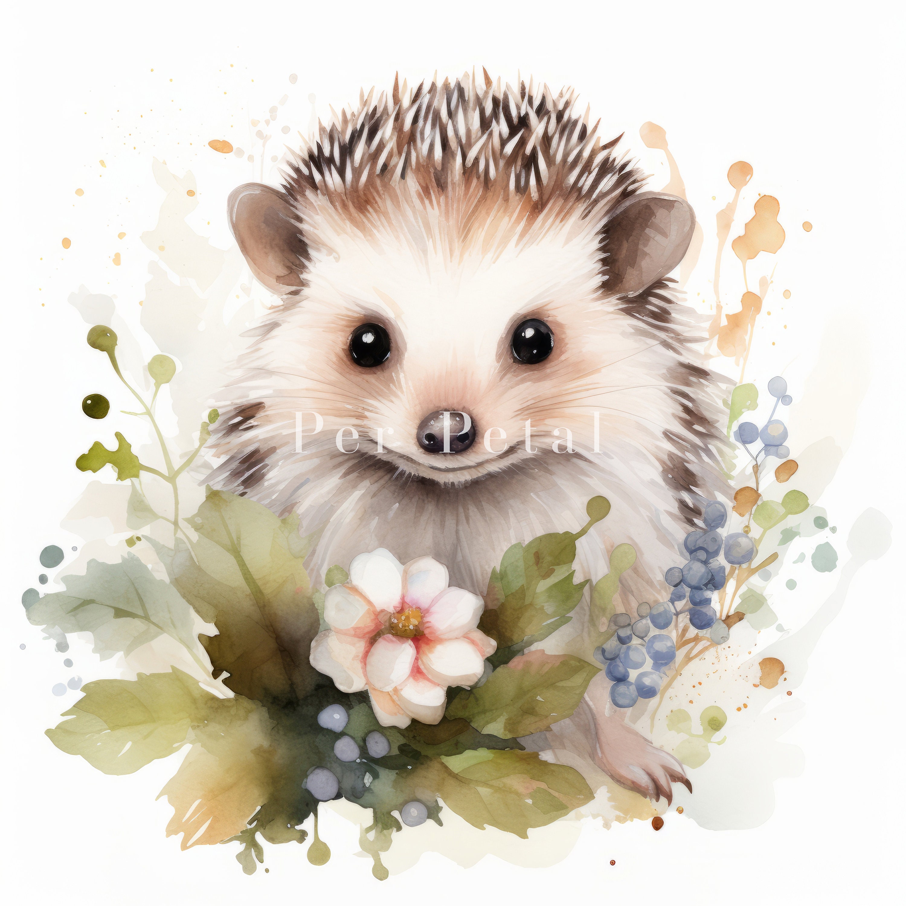 9 Watercolor Cute Hedgehog Clipart Watercolor Woodland Animal Digital ...