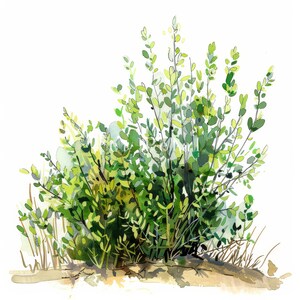 9 Watercolor Green Bush Clipart Sage Green Plants Clipart Printable ...