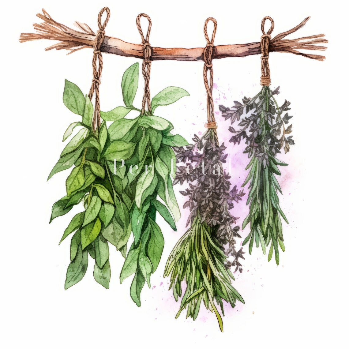 9 Watercolor Herbs Clipart Hanging Herbs Clipart Card Making - Etsy