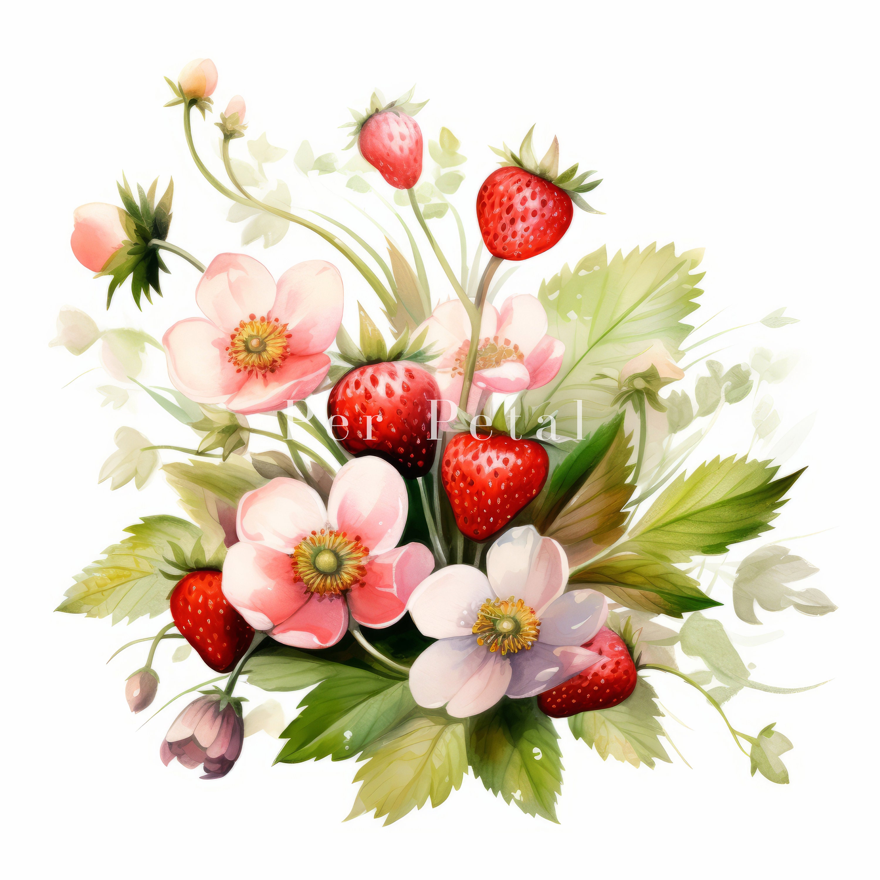 9 Watercolor Strawberry Clipart Strawberry Flowers Clipart High Quality ...