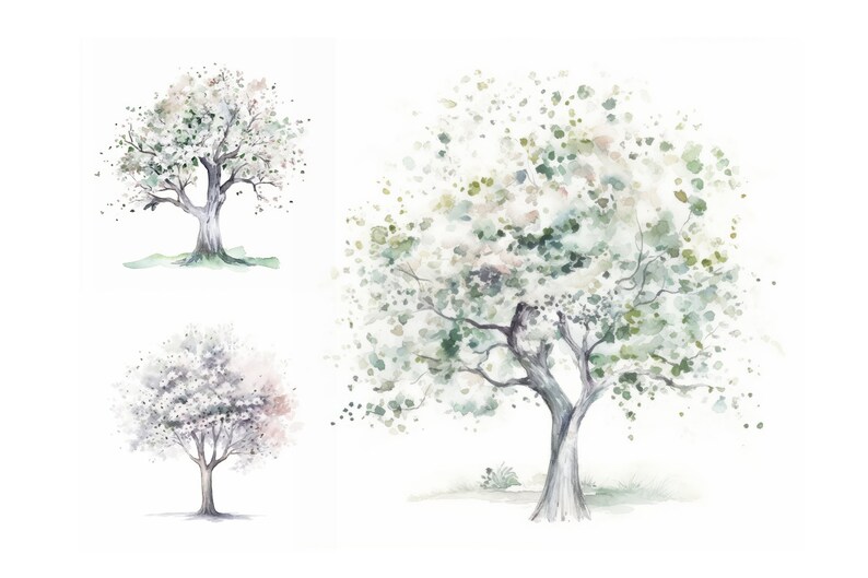 9 Watercolor Spring Trees Clipart Tree Blossoms Clipart Cherry Blossom ...