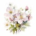9 Watercolor Wedding Flowers Clipart Watercolor Pink Floral - Etsy