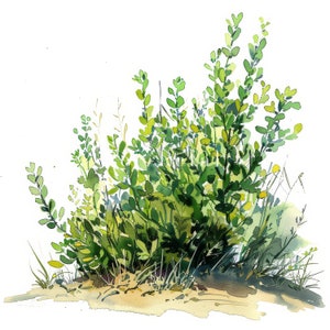 9 Watercolor Green Bush Clipart Sage Green Plants Clipart Printable ...
