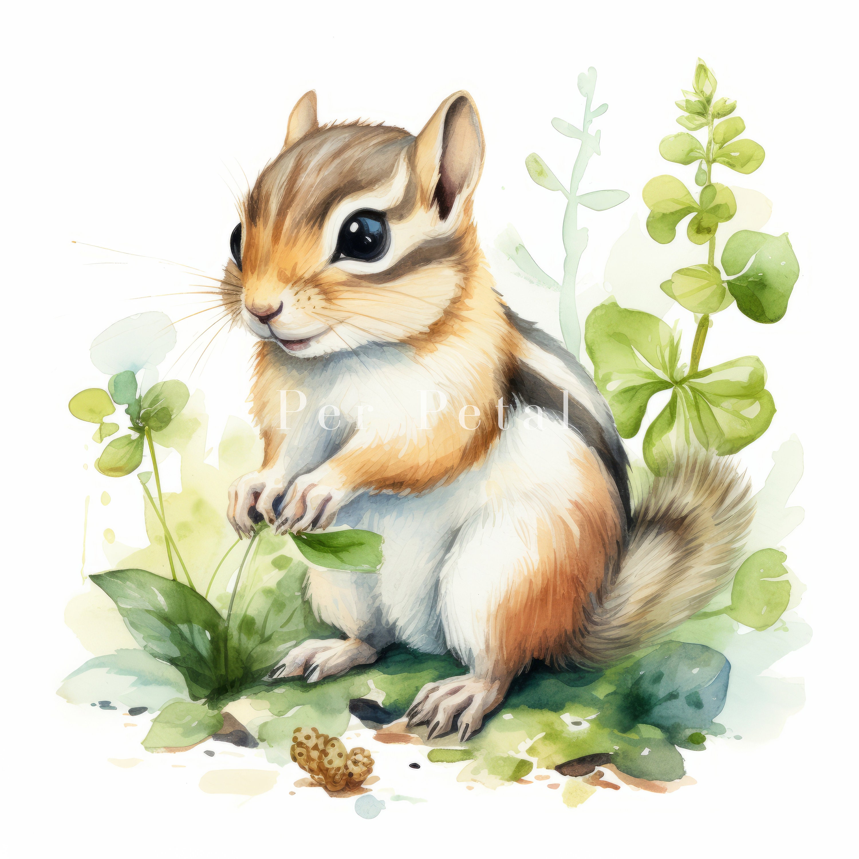 9 Watercolor Chipmunk Clipart Watercolor Woodland Animal Digital ...