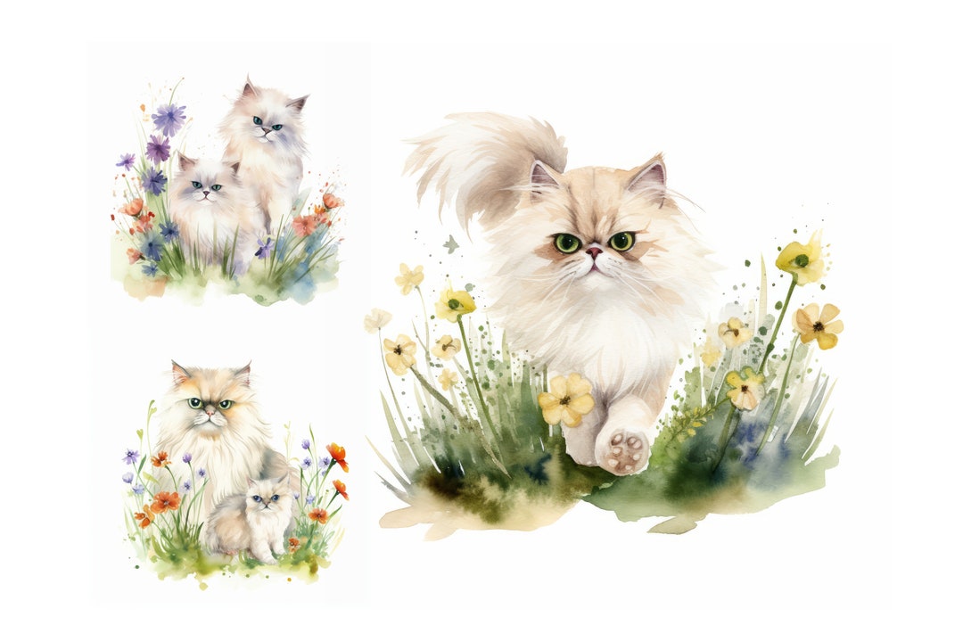 9 Watercolor Persian Kitten Clipart Watercolor Cat Digital Planner Wall ...