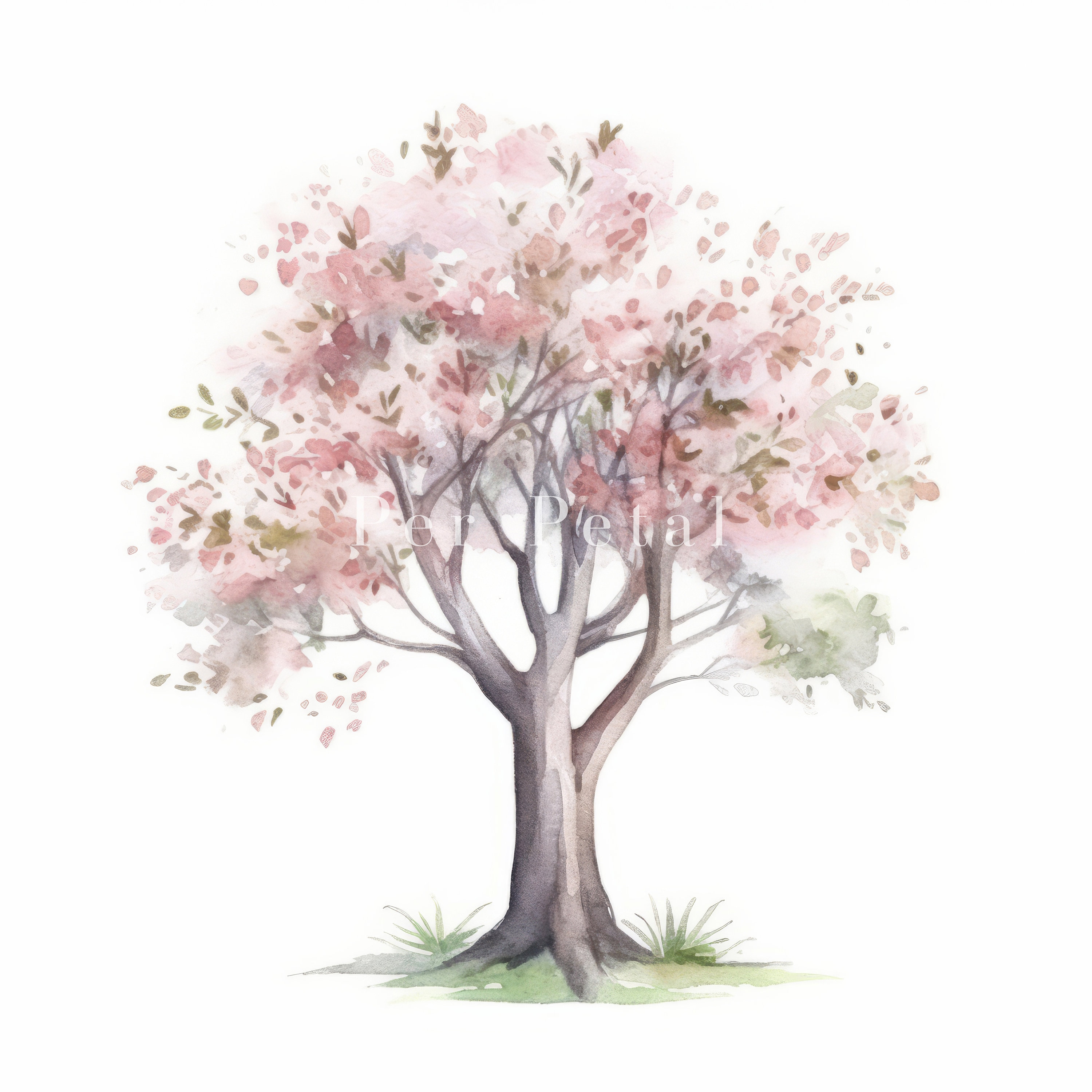 9 Watercolor Spring Trees Clipart Tree Blossoms Clipart Cherry Blossom ...