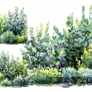 9 Watercolor Green Bush Clipart Sage Green Plants Clipart Printable ...