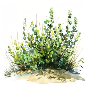9 Watercolor Green Bush Clipart Sage Green Plants Clipart Printable ...