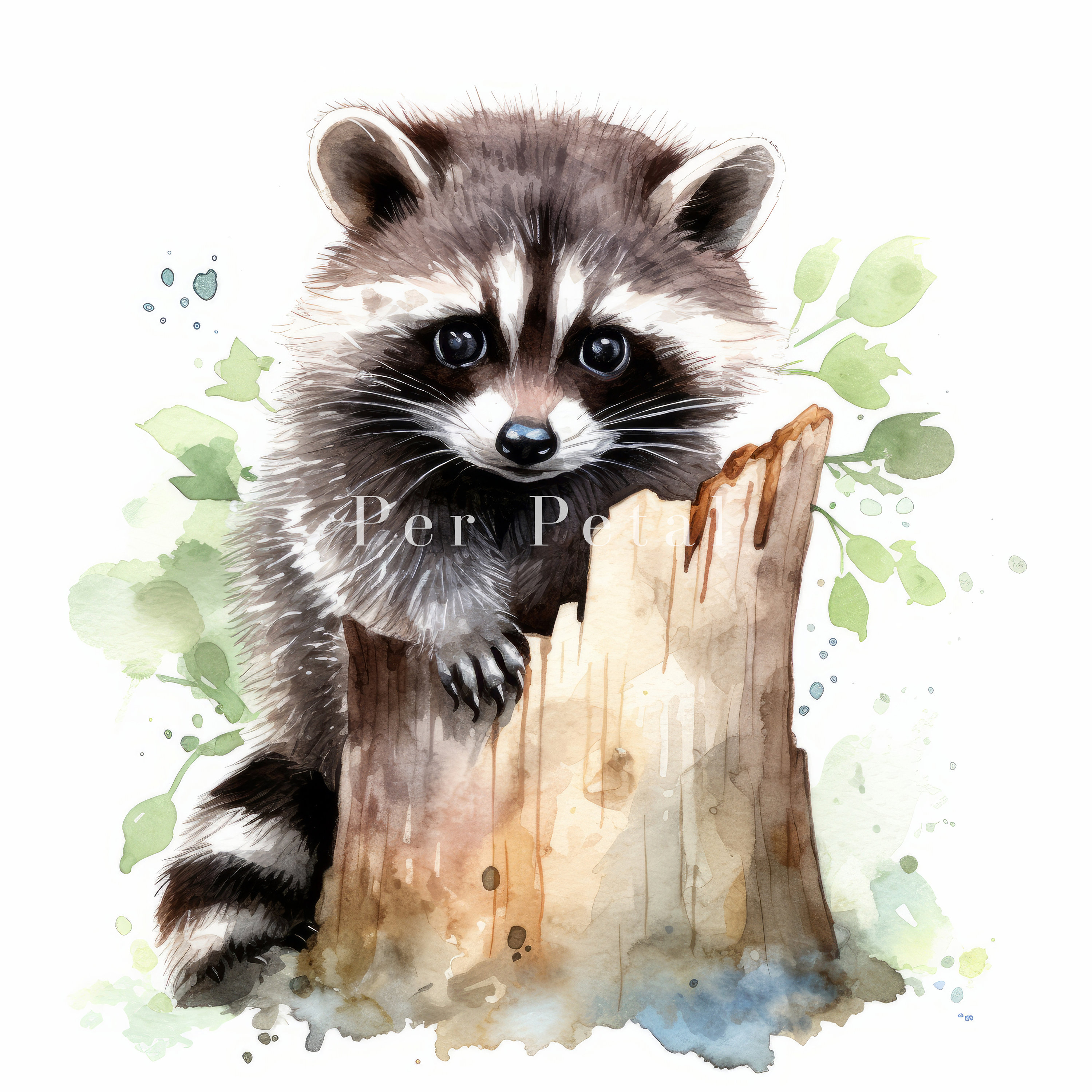 9 Watercolor Baby Raccoon Clipart Watercolor Woodland Cute - Etsy
