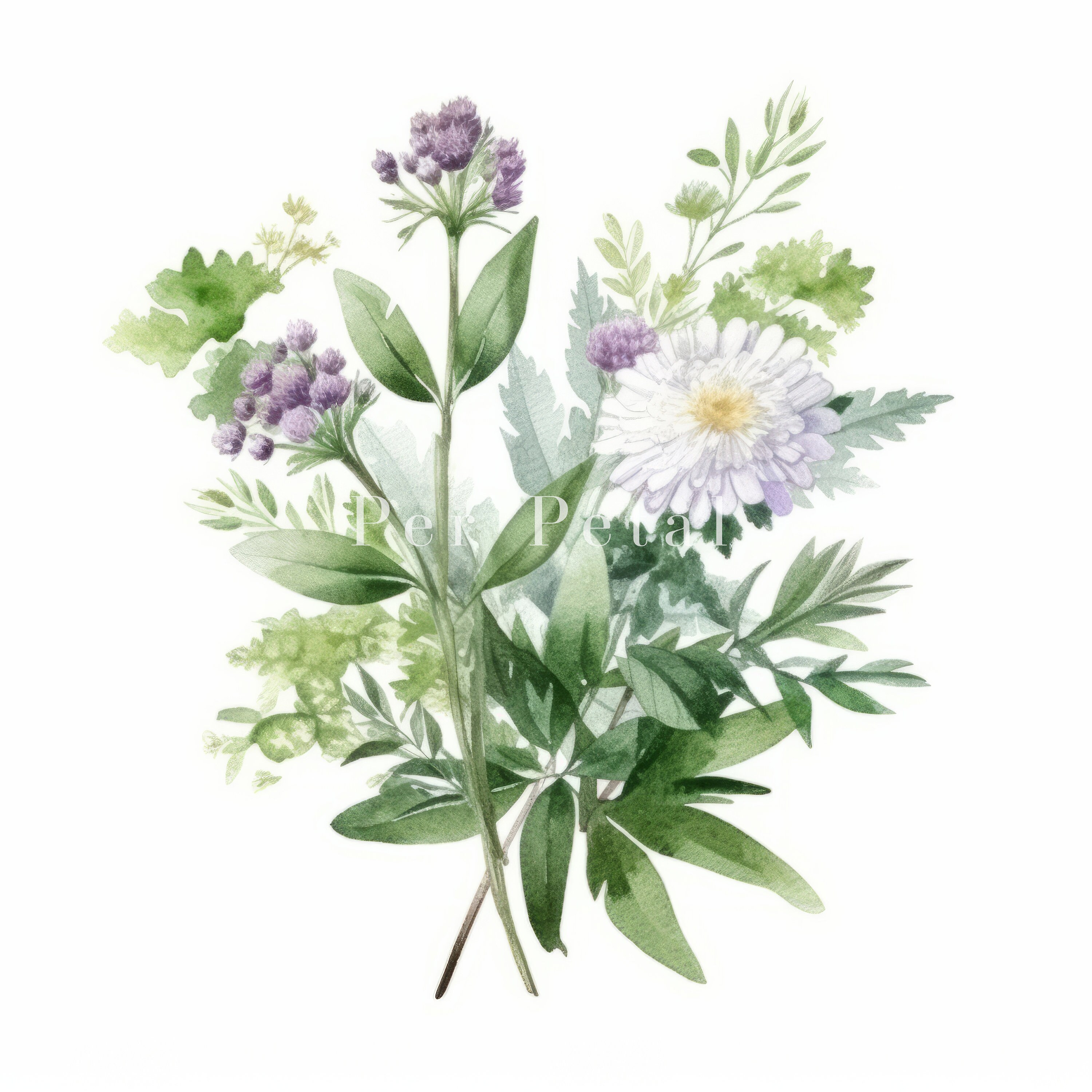 9 Watercolor Herbs Clipart Herbs Clipart Card Making Mixed Media ...