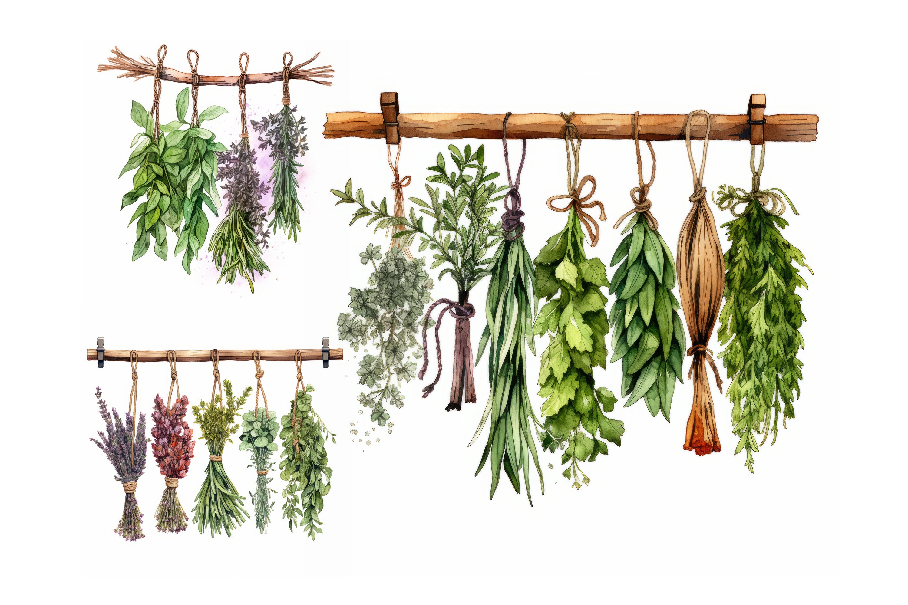 9 Watercolor Herbs Clipart Hanging Herbs Clipart Card Making Mixed ...