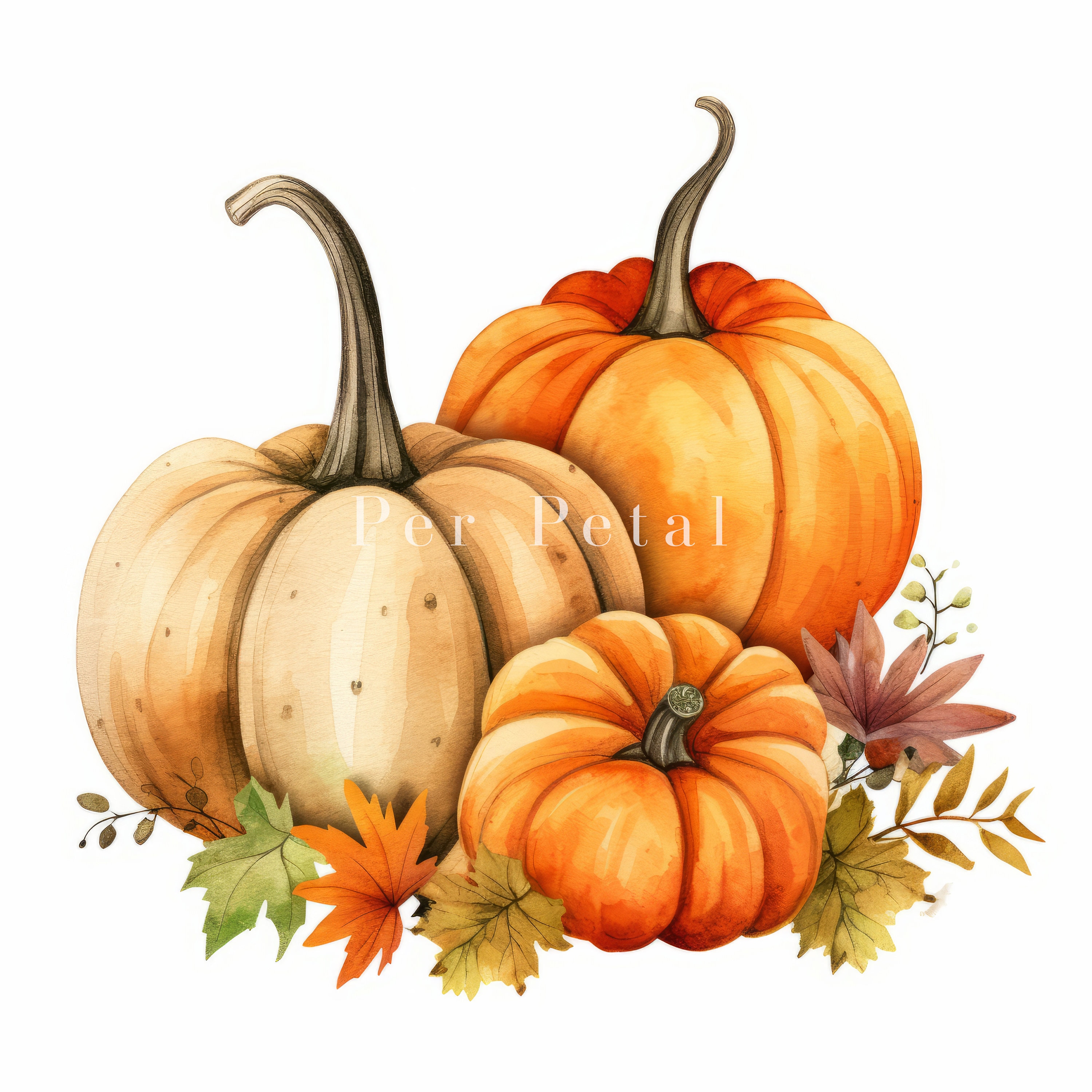 9 Watercolor Pumpkin Clipart Autumn Clipart Country Scene Clipart ...
