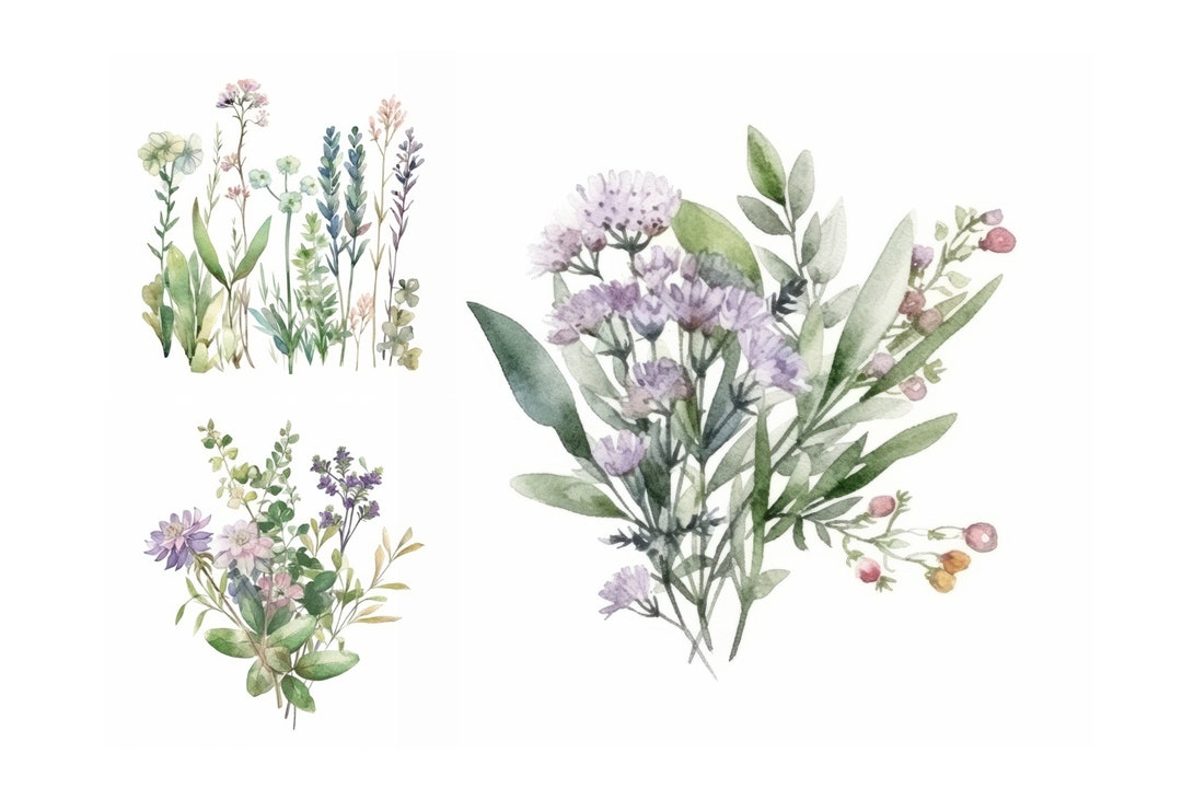 9 Watercolor Herbs Clipart Herbs Clipart Card Making Mixed Media ...