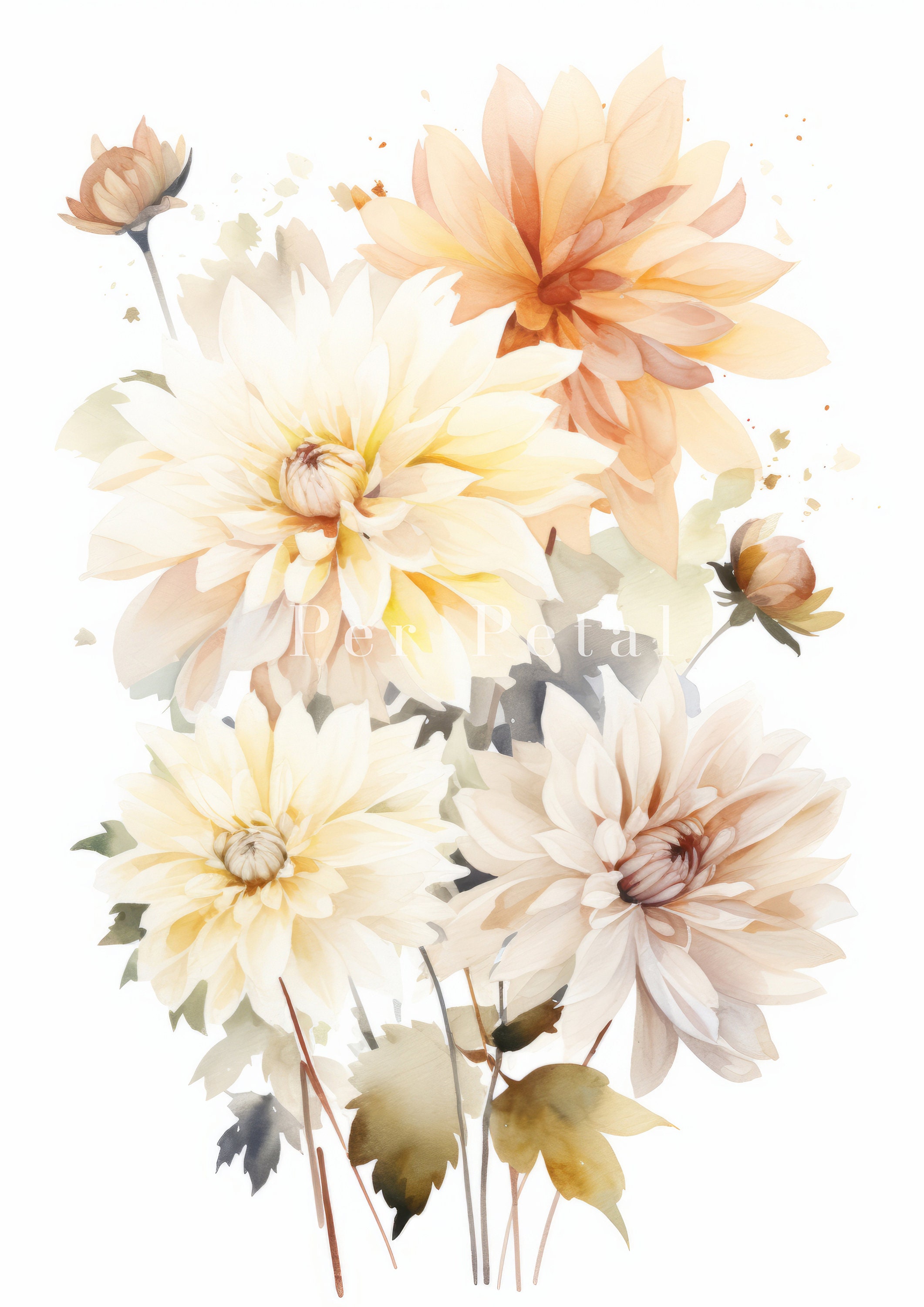 9 Watercolor Dahlia Clipart Garden Flower Clipart Card Making Mixed ...
