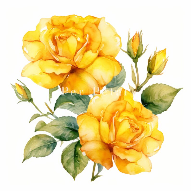 9 Watercolor Flower Clipart Golden Yellow Roses Bouquet Card Making ...