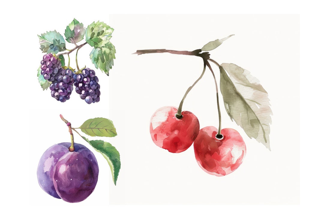 9 Watercolor Fruit Clipart Watercolor Cherry Clipart Card Making Mixed ...