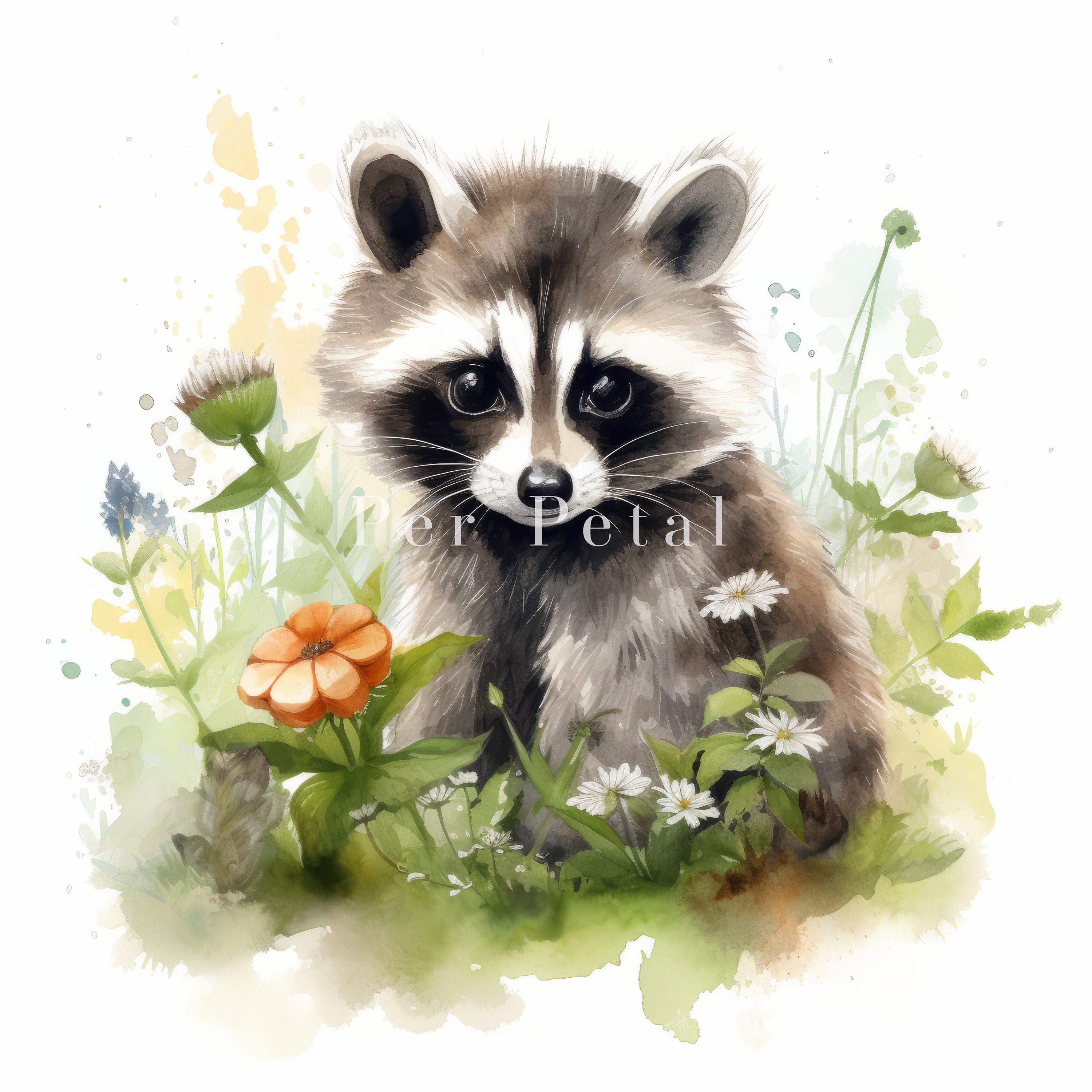 9 Watercolor Baby Raccoon Clipart Watercolor Woodland Cute - Etsy