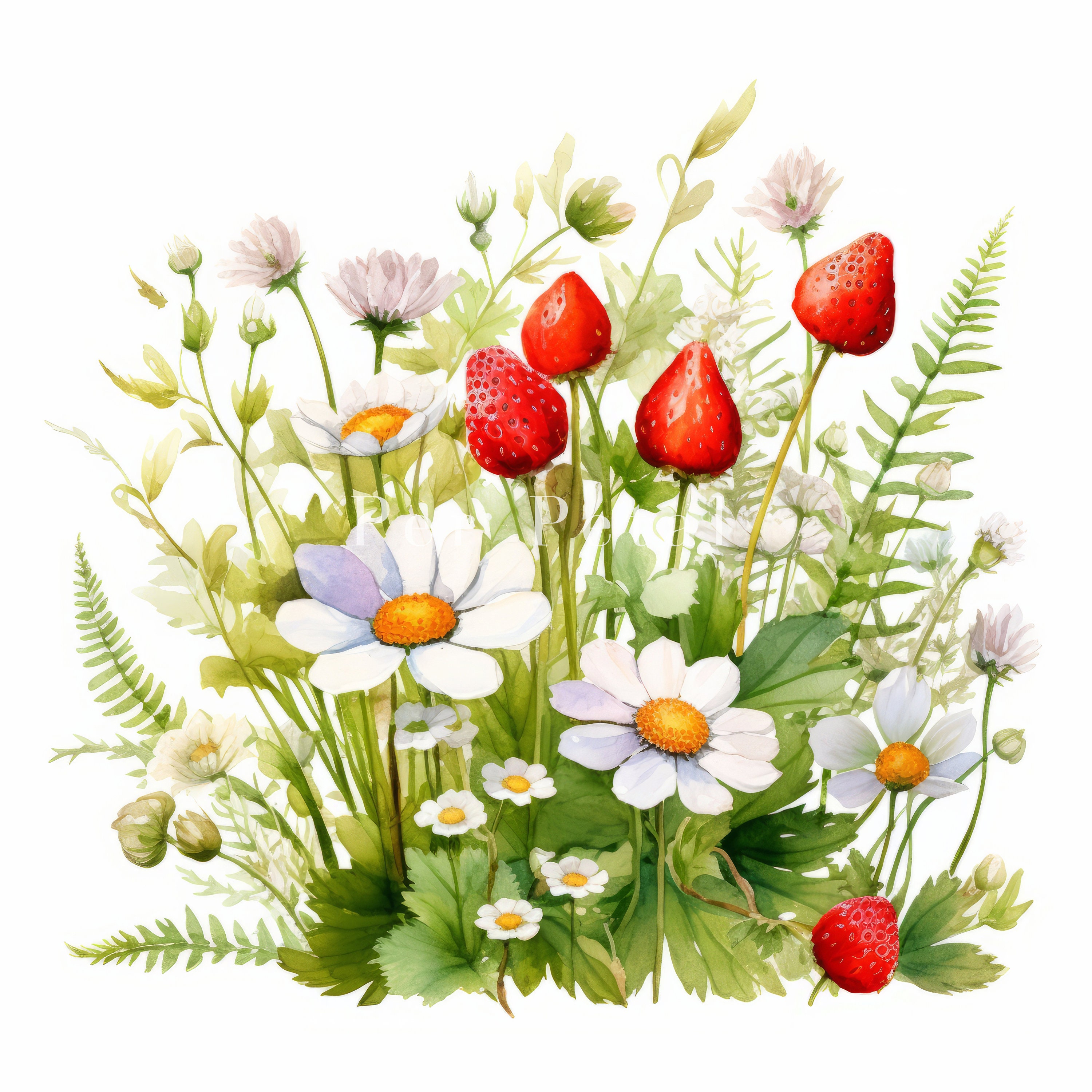9 Watercolor Strawberry Clipart Strawberry Flowers Clipart High Quality ...