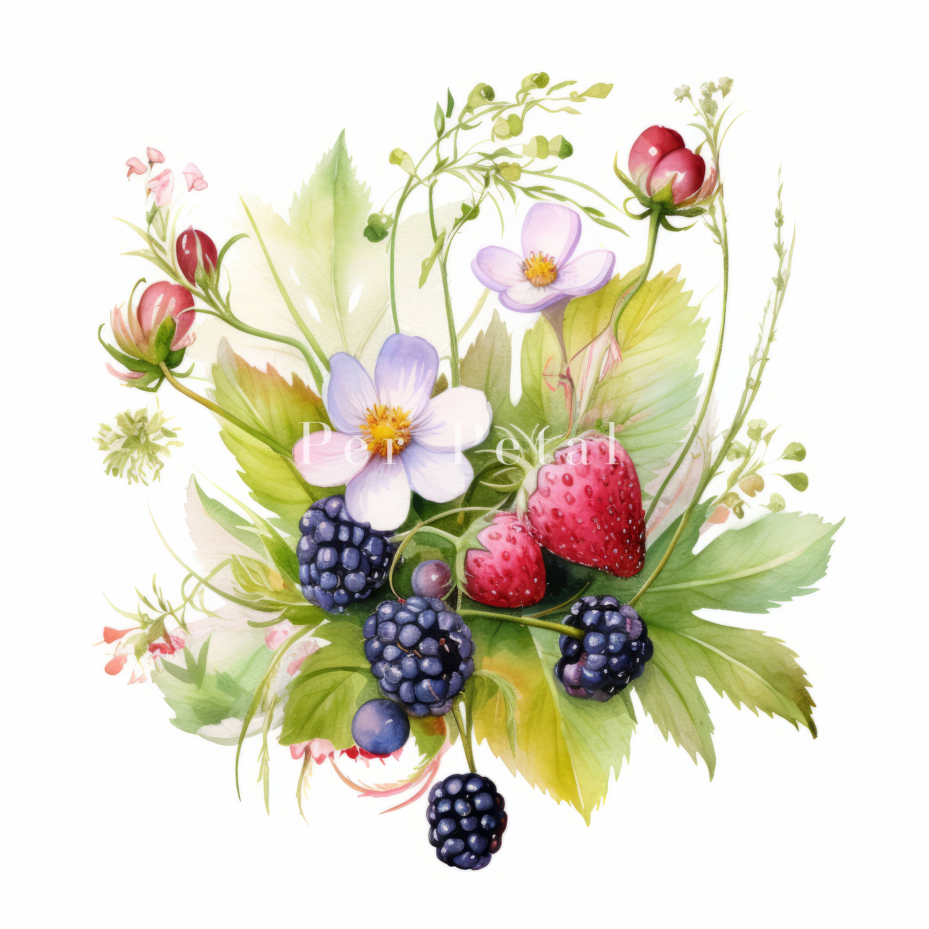 9 Watercolor Berry Clipart Strawberry Flowers Clipart High Quality Jpgs ...